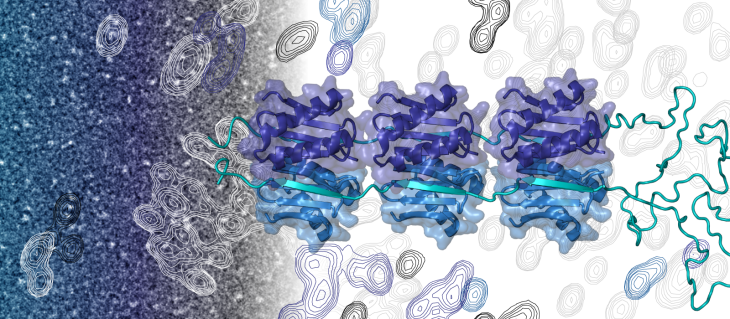 Multivalency regulates activity in an intrinsically disordered ...